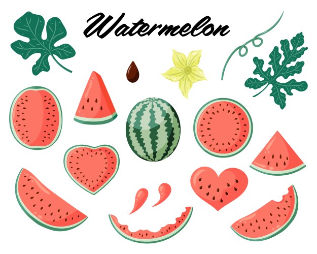 Watermelon set with whole Royalty Free Vector Image