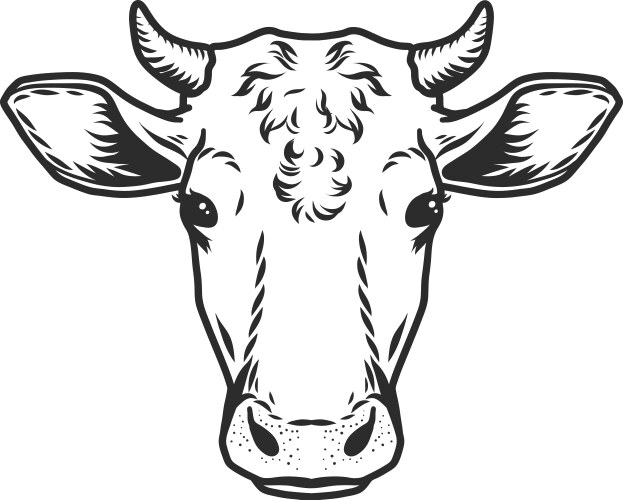 Cow Outline Vector Images (over 23,000)