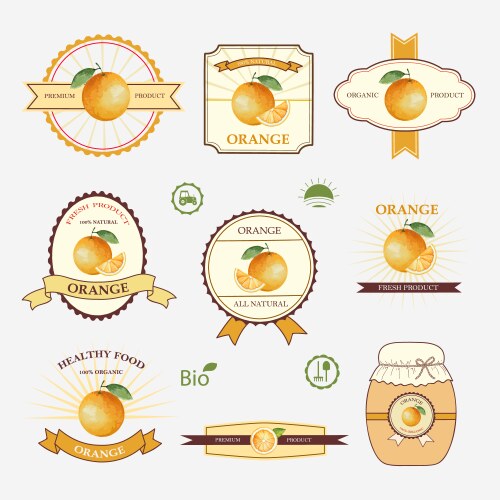 Cherry and orange label templates vintage sketch Vector Image