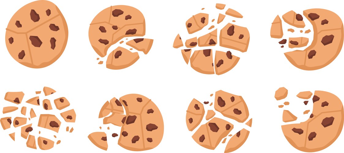 Bitten chocolate chip cookie crunch homemade Vector Image