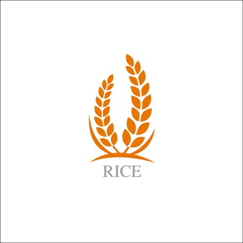 Premium rice great quality design concept Vector Image