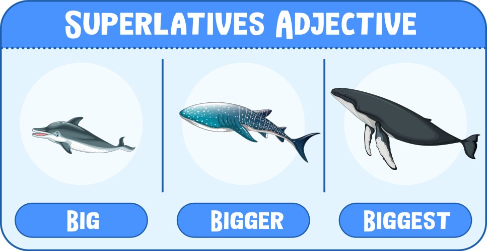 Comparative adjectives for word big Royalty Free Vector