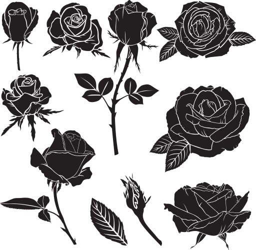 Rose Vector Images (over 330,000)