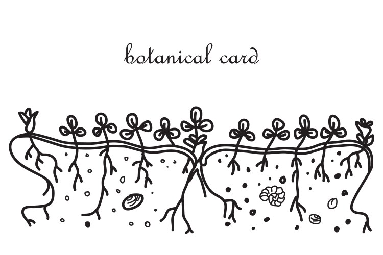 Hand drawn botanical growing plants with roots Vector Image