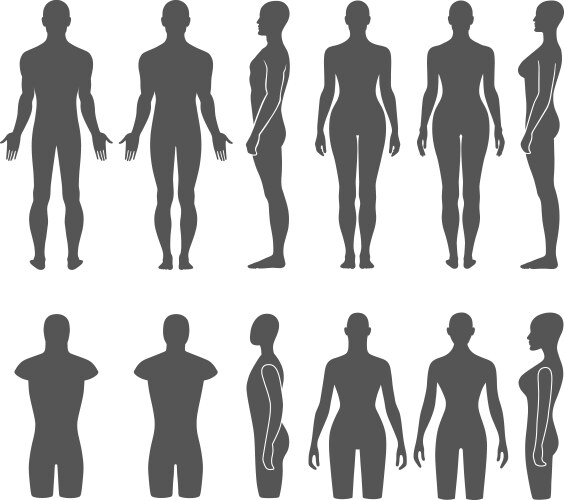 Torso Outline Vector Images (over 1,700)