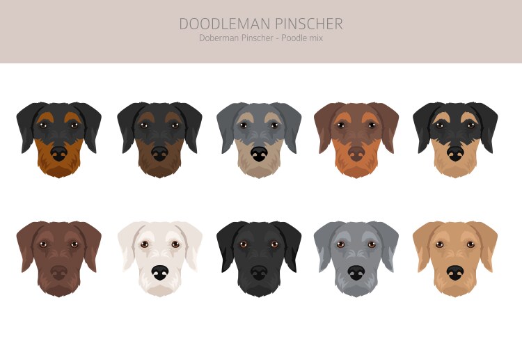 Doodleman pinscher clipart doberman Royalty Free Vector