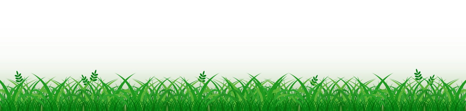 Spring grass seamless border floral Royalty Free Vector