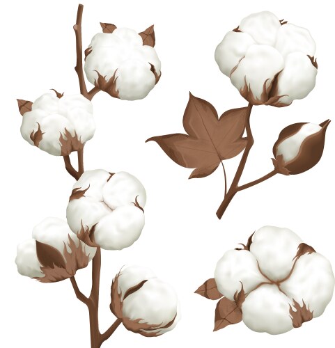 Cotton Vector Images (over 170,000)