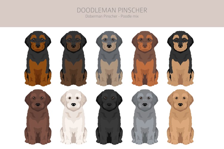 Doodleman pinscher clipart doberman Royalty Free Vector