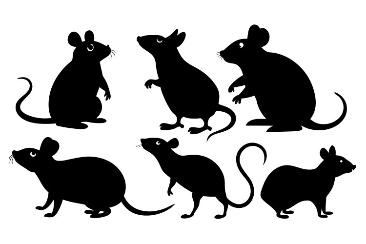 Laboratory Mice Vector Images (over 1,000)