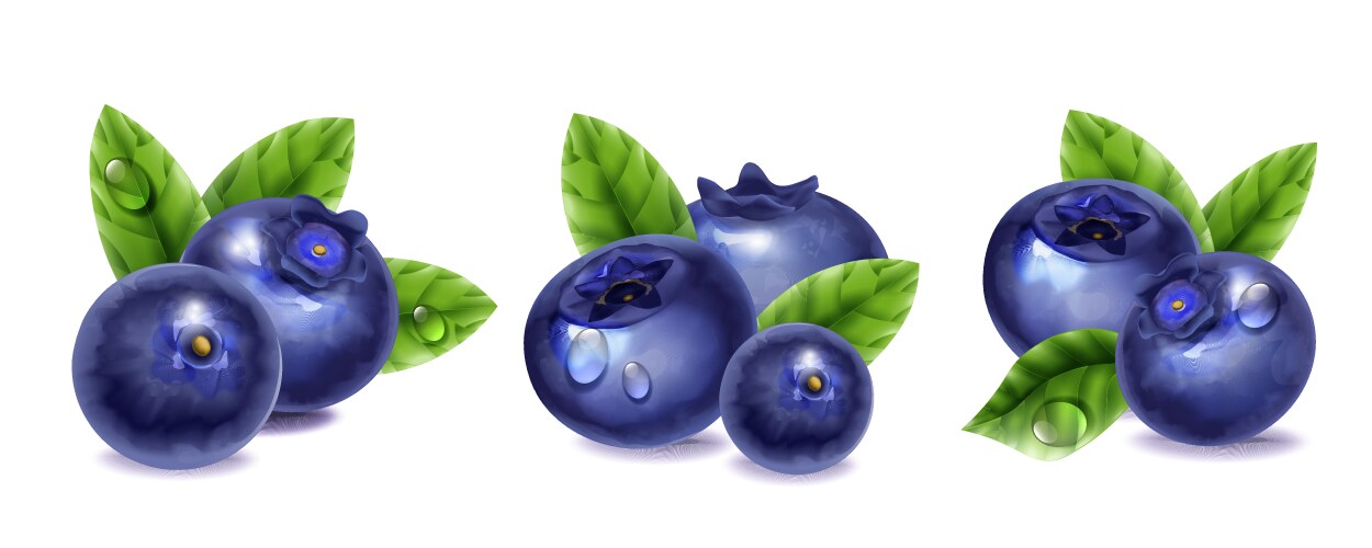 Blueberry Vector Images (over 30,000)