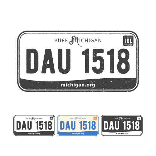 Usa american states vehicle registration plates Vector Image