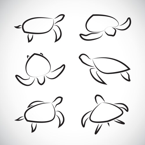 Turtle Outlines Vector Images (over 6,700)