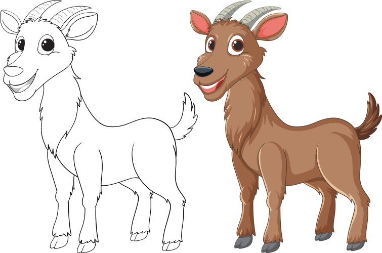 Colorful and outlined goat drawings side Vector Image