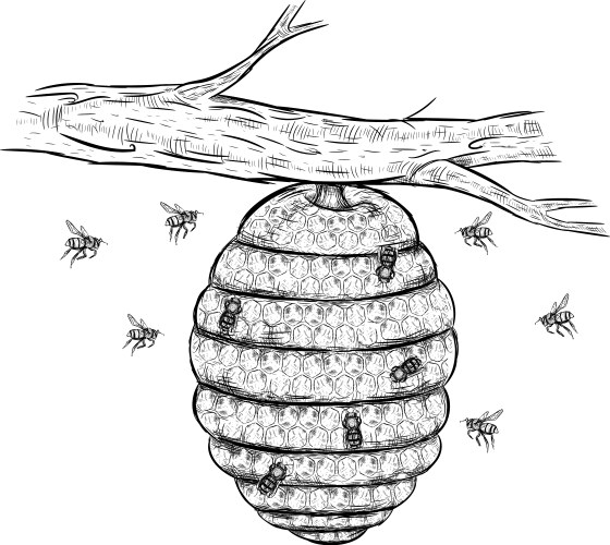 Beehive Outline Vector Images (over 9,400)