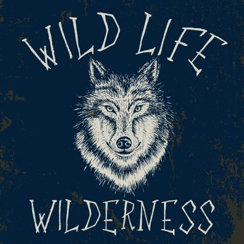 Vintage logo with wolf on old paper background Vector Image