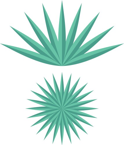 Agave Royalty Free Vector Image - VectorStock