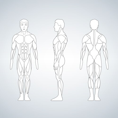 Female Form Outline Front Back