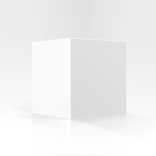 Realistic blank white packaging box template Vector Image