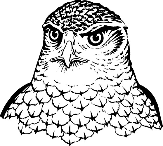 Falcon Vector Images (over 33,000)