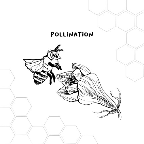 Bee Pollination Vector Images (over 3,400)