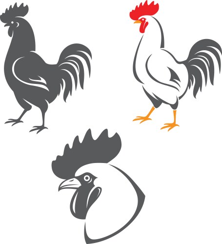 Rooster Vector Images (over 42,000)