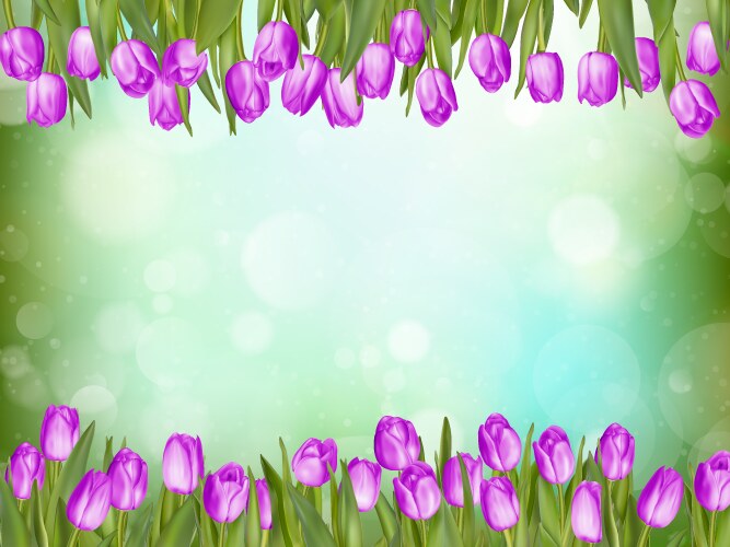 Spring floral border with colorful tulips on fresh