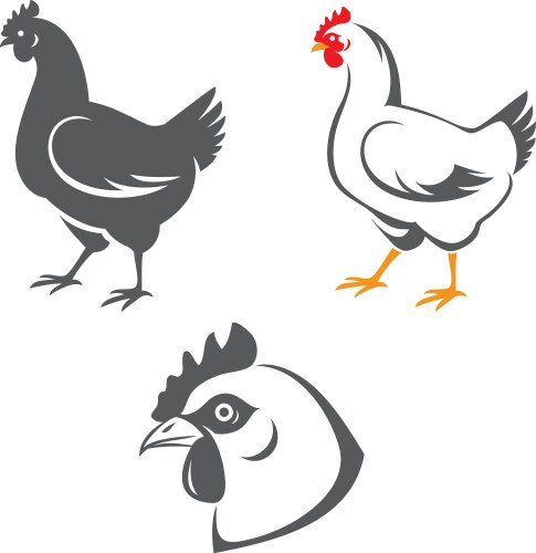 Free Chicken Vector Images (over 22,000)