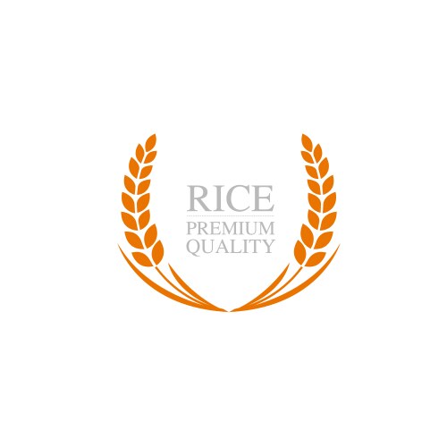 Premium rice great quality design concept Vector Image