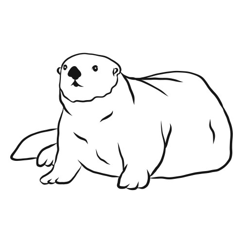 Sea Otter Drawing Vector Images (over 320)