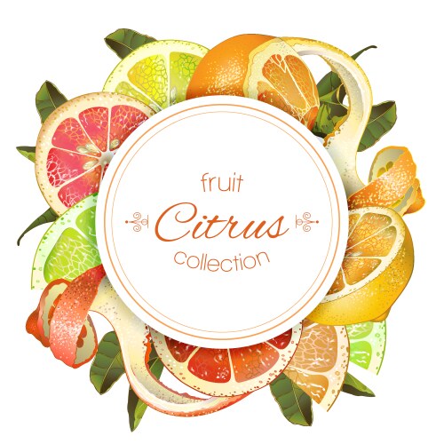 Citrus Vector Images (over 95,000)