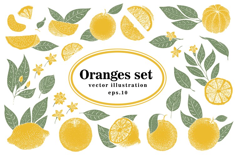 Citrus Vector Images (over 99,000)