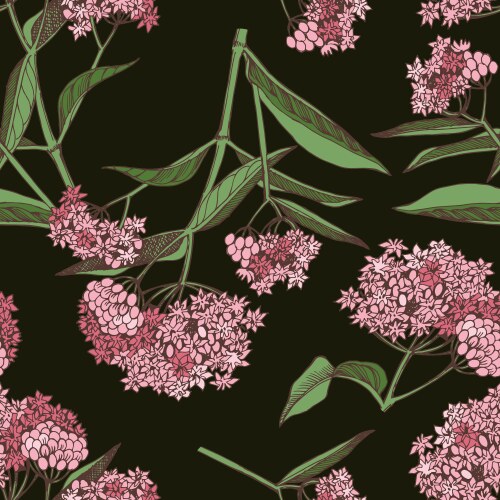 Milkweed Vector Images (over 320)