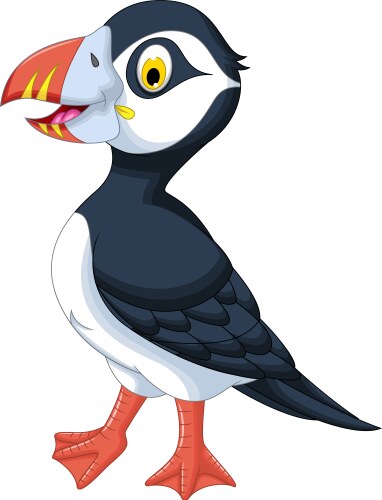 Cartoon puffin isolated on white background Vector Image