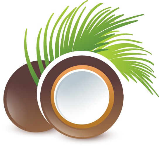 Coconut Vector Images (over 83,000)