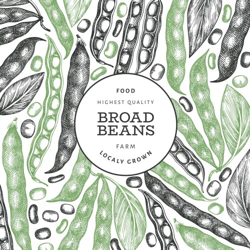 Hand drawn broad beans design template organic Vector Image