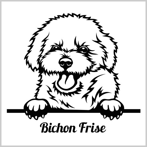 Bichon Frise Draw Vector Images (over 190)