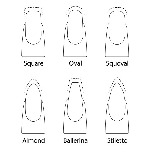 Nail shapes Royalty Free Vector Image - VectorStock