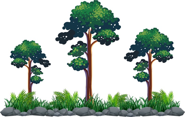 Oak tree and green grass Royalty Free Vector Image