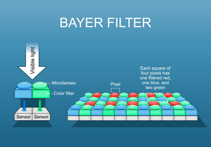 Bayer Vector Images (30)
