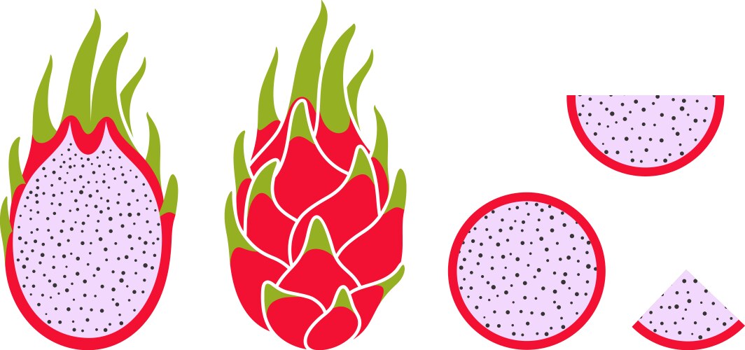 Whole and sliced dragon fruit Royalty Free Vector Image