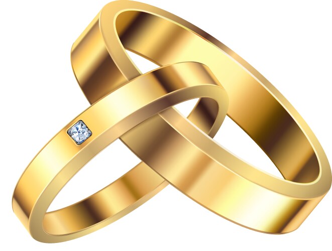 Gold wedding rings Royalty Free Vector Image - VectorStock
