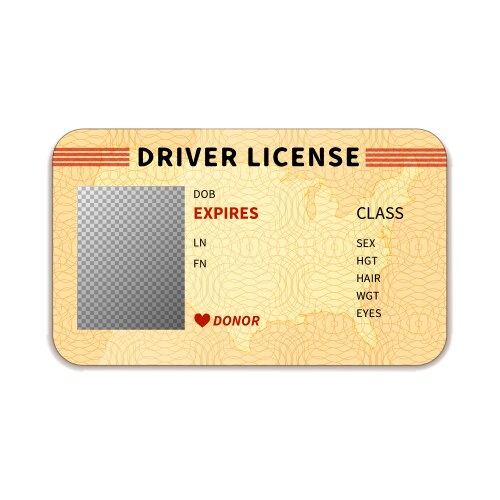 Driver License Template Vector Images (over 860)