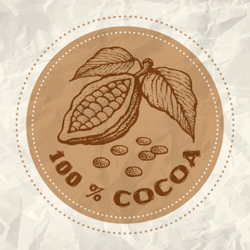 Cocoa Royalty Free Vector Image - VectorStock