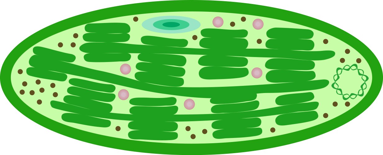 Cells Vector Images (over 410,000)