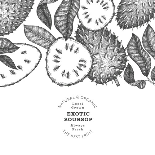 Soursop pattern Royalty Free Vector Image - VectorStock