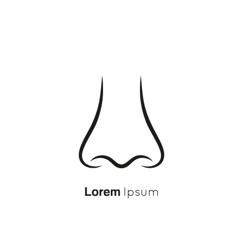 Human nose with nostrils Royalty Free Vector Image