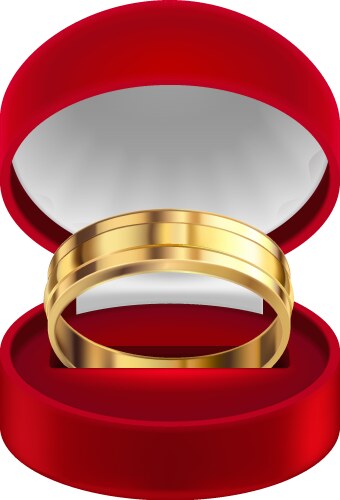 Wide ring case composition Royalty Free Vector Image