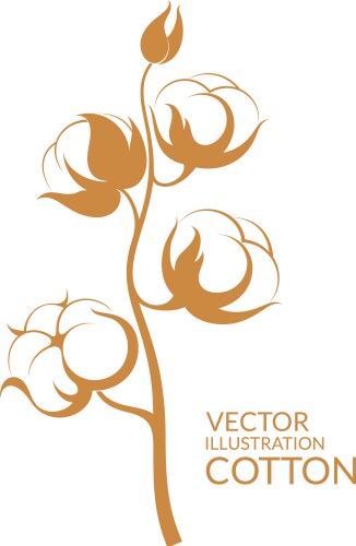 Cotton Vector Images (over 180,000)