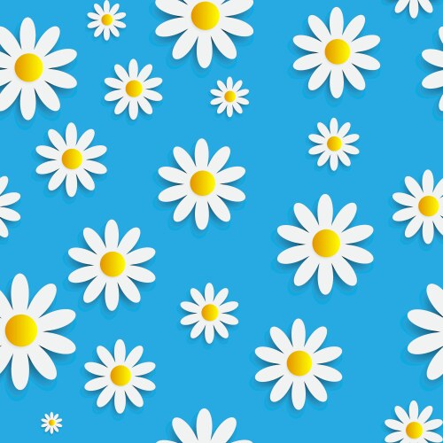 Floral seamless pattern with blossom daisy flowers